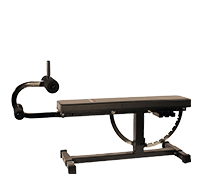 Tout ce dont vous avez besoin pour votre entraînement de musculation ...